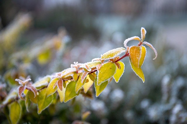 Křížovka na leden (1) – Bifler.cz