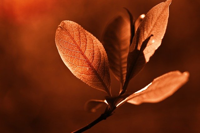 Křížovka (5) – Bifler.cz